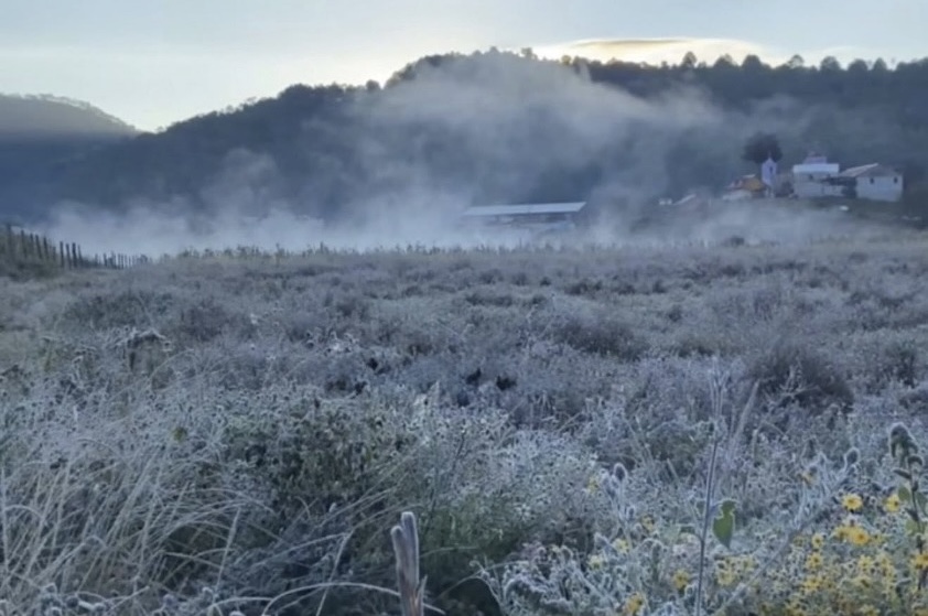 Primera helada invernal en #Oaxaca cubre de hielo Chalcatongo, Yosondúa ...